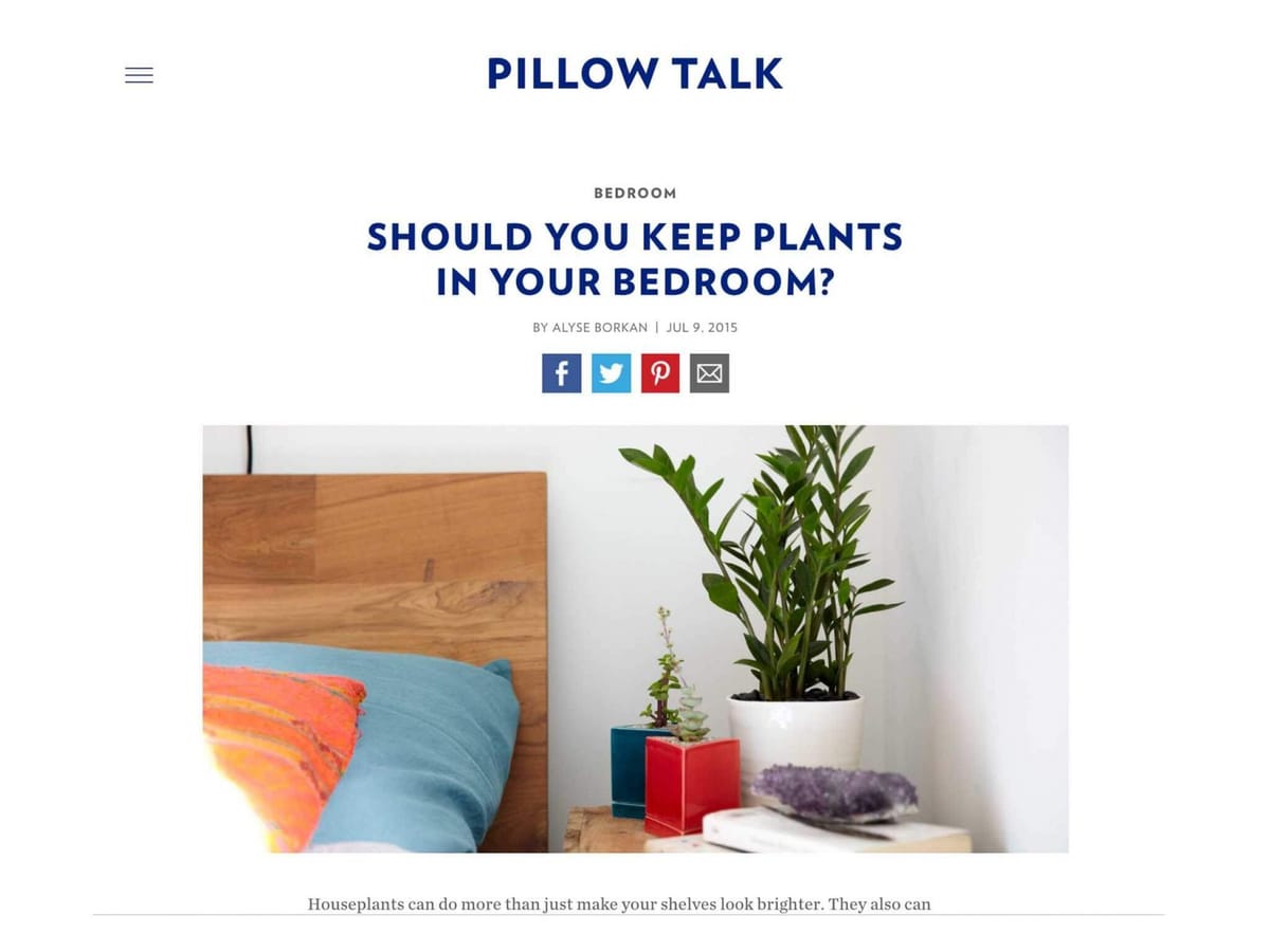 Casper’s Bedroom Plants